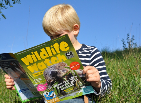 Shop for wildlife | Lincolnshire Wildlife Trust